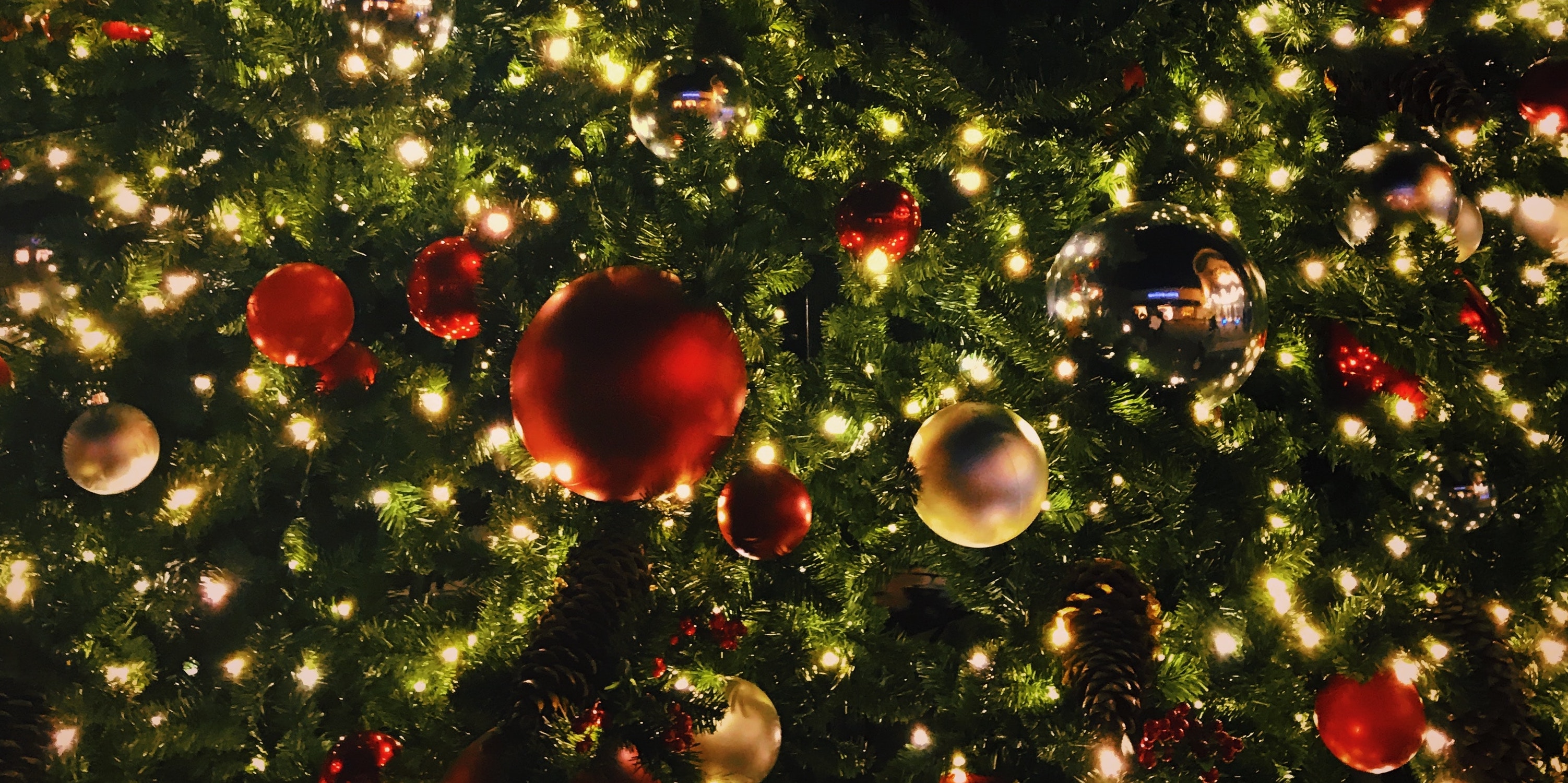 Future Anthem reaffirms its Christmas charity commitment with second ...
